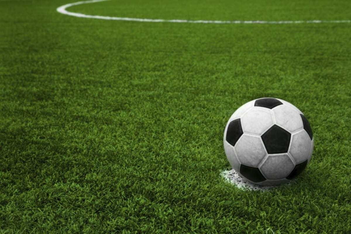 Secretele organizării unui teren de sport profesionist cu gazon ...